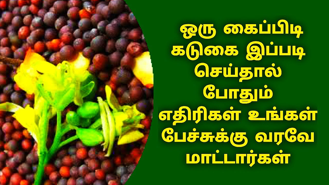 Ethiri Tholai Neegha Pariharam| KalyanaVirundhu - YouTube
