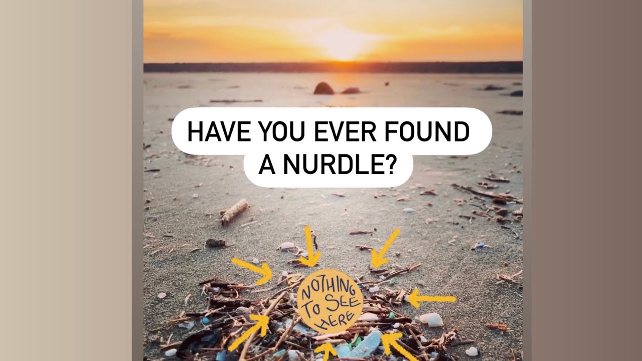 Have You Ever Found A Nurdle? - YouTube