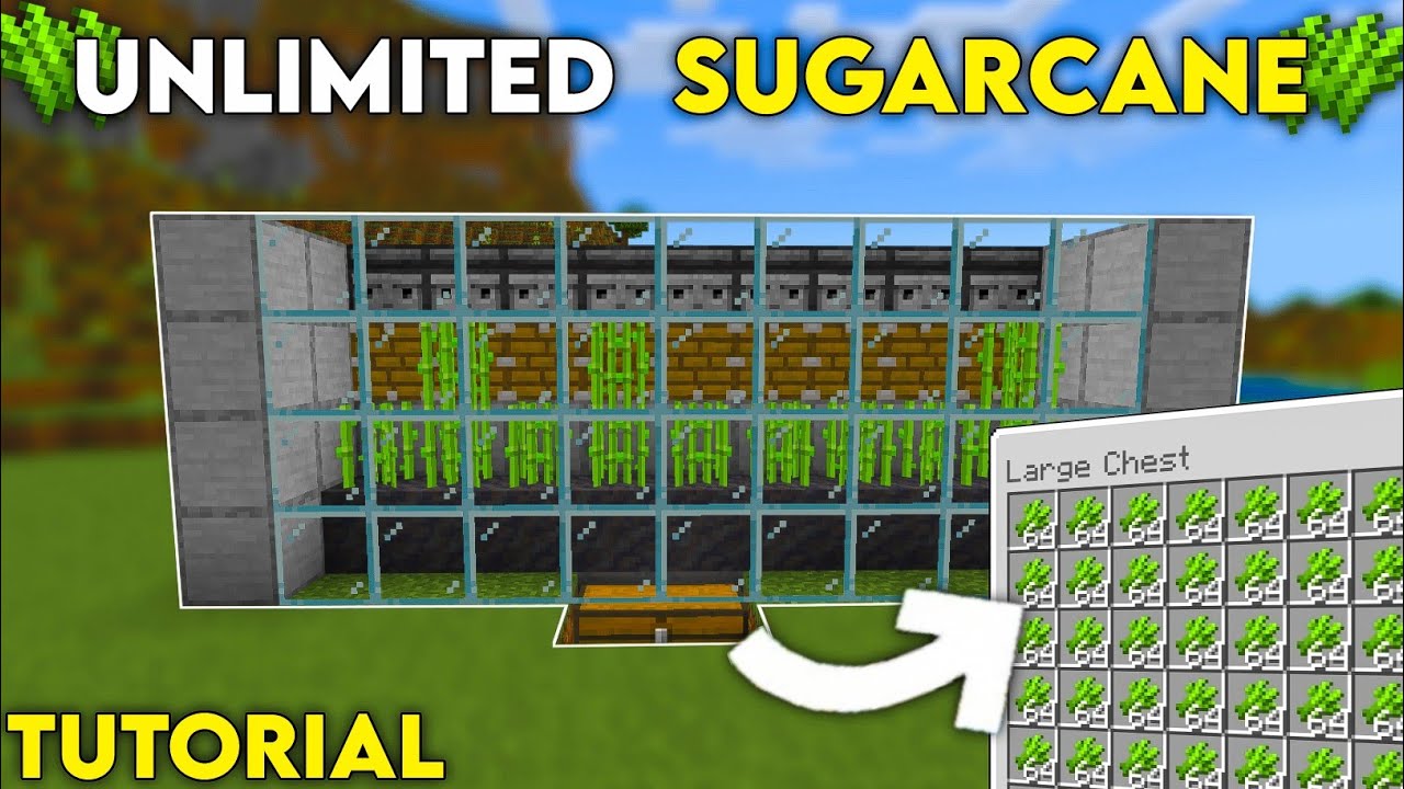 AUTOMATIC SUGARCANE FARM TUTORIAL in Minecraft 1.20 | Easy & Expandable ...