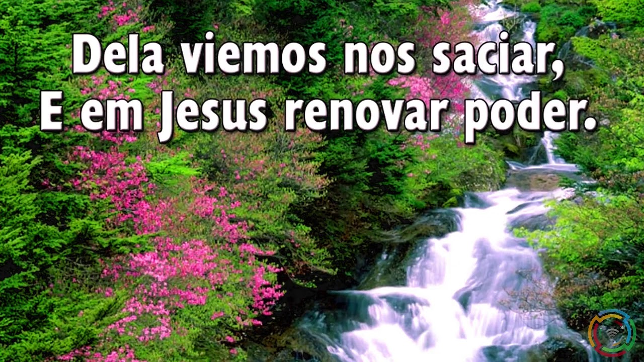 Transmissão ao vivo de SMIdia - YouTube