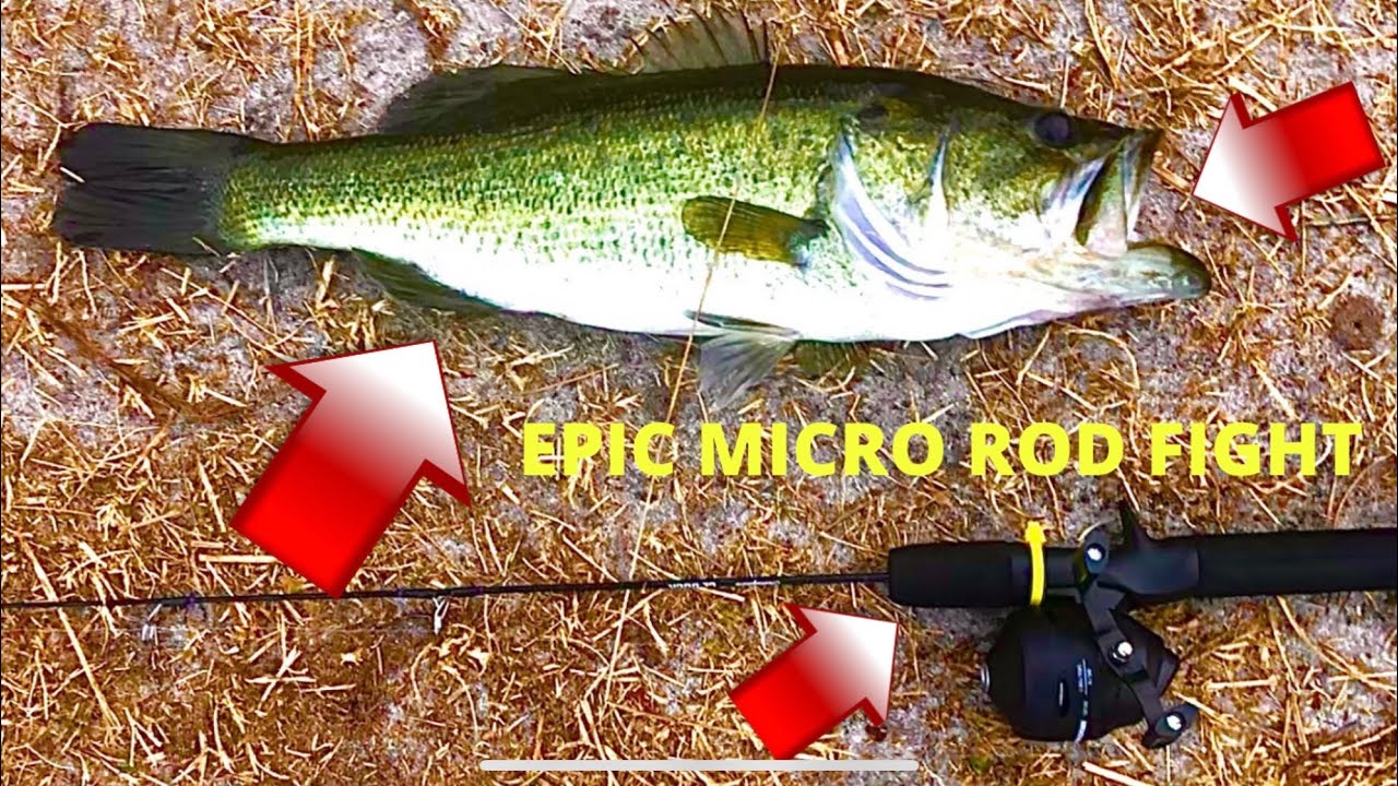 EPIC MICRO ROD CHALLENGE. I FOUGHT him for SO LONG! - YouTube