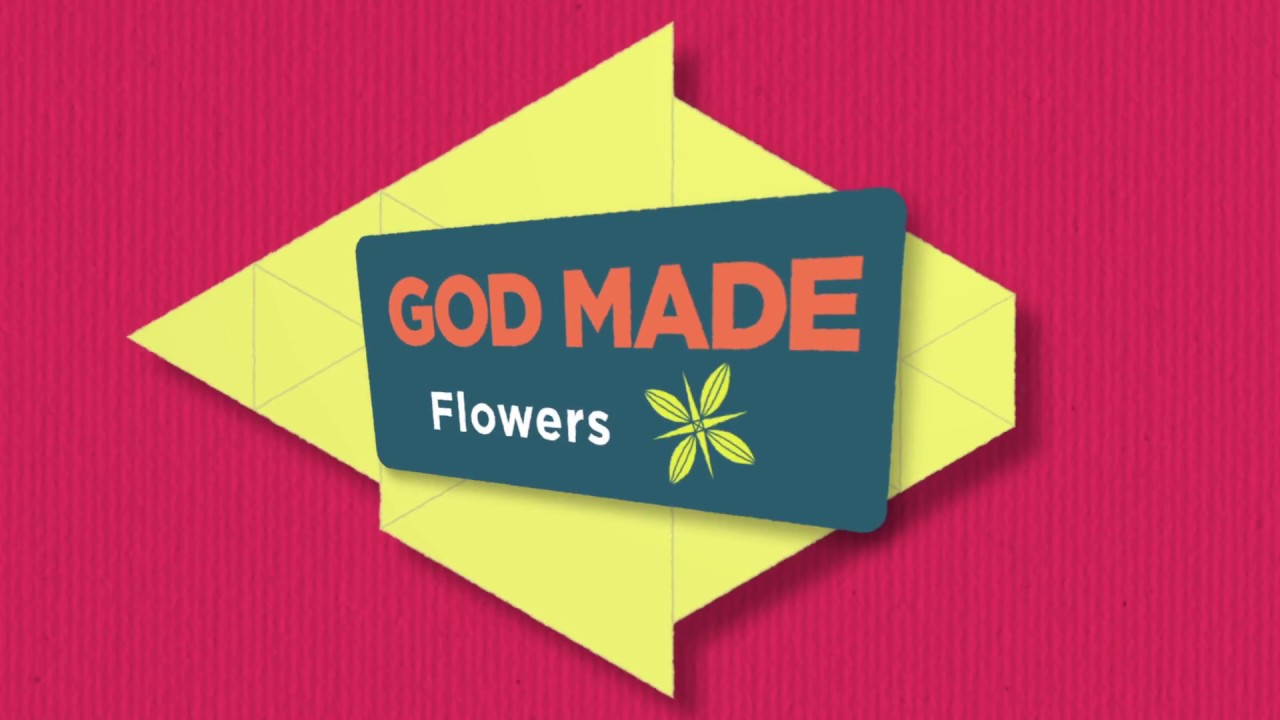 Why God Created Flowers at Adam Ross blog