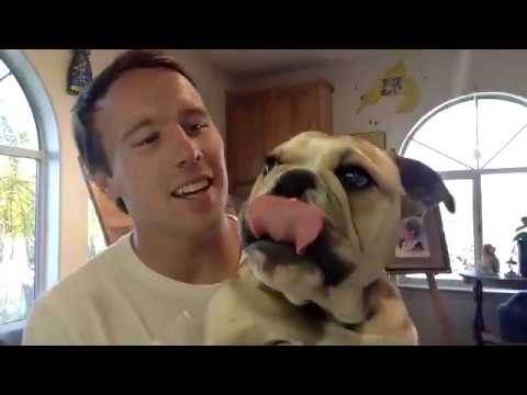 We Talked To NFL Running Back Patrick Laird About Everything - YouTube