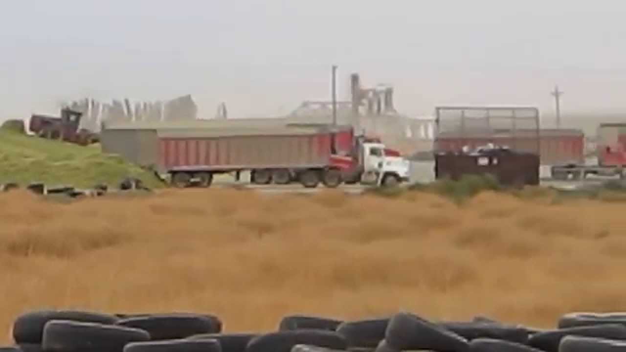 3/4 Through a 100,000 ton silage pile packing corn with Steigers - YouTube