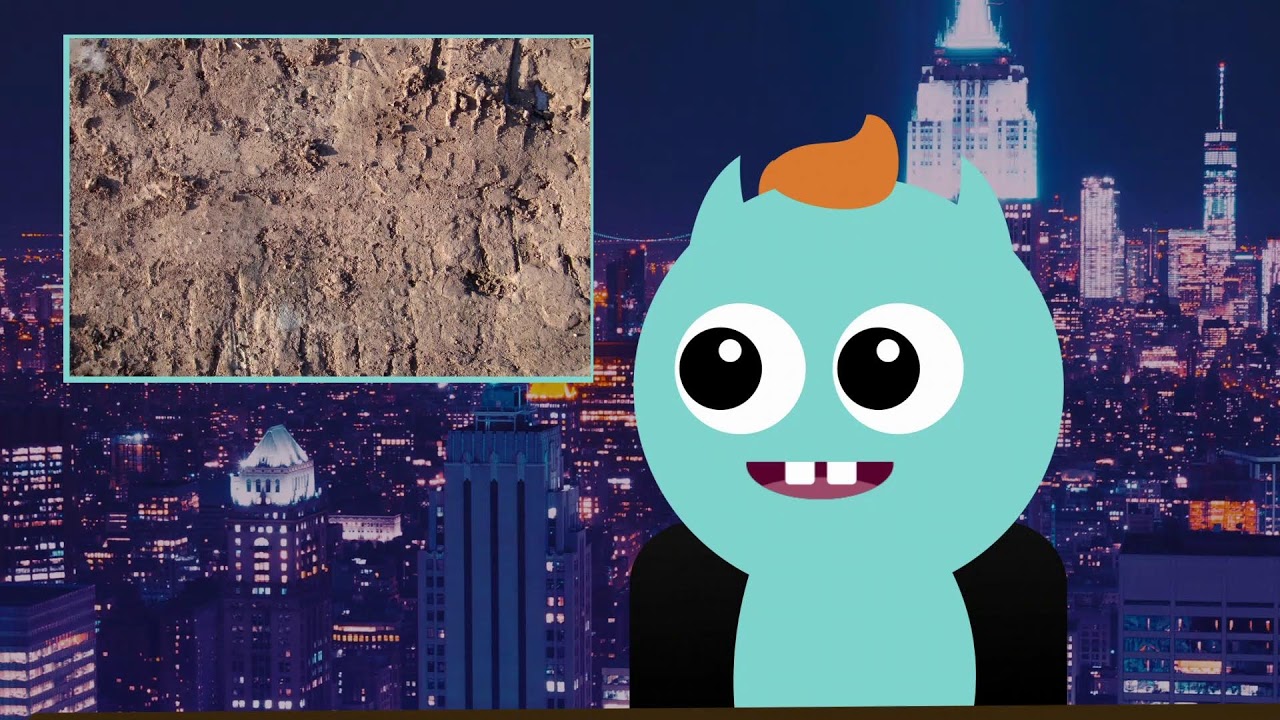 Scratch Garden Educational Videos & Songs LIVE! - YouTube