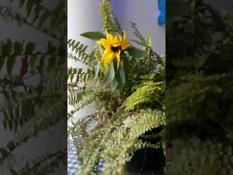 @ÇİKİLOTA TARİFİ 🍫 EV YAPIMI NASIL YAPILIR Nesrin mutfak'ta #evyemekleri#youtube