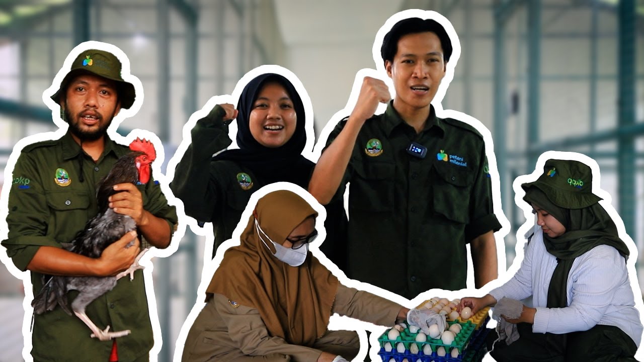 Petani Milenial Jawa Barat komoditas Ayam Lokal (BPPT UNGGAS JATIWANGI ...