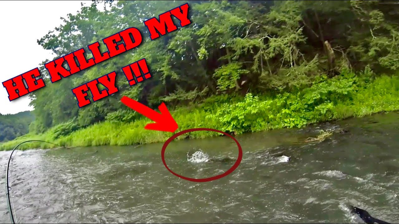 He KILLED My Fly - Streamer Fishing - West Branch of the Delaware River ...