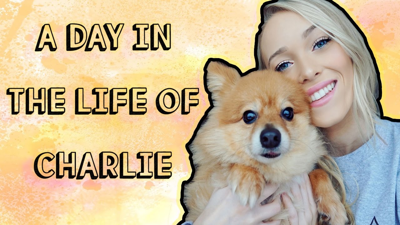 A DAY IN THE LIFE OF CHARLIE! - YouTube