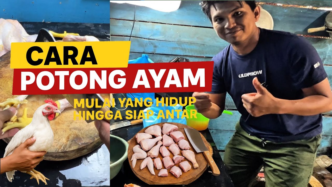 Bagaimana cara potong ayam 22 bagian || how to cut a chicken into 22 ...