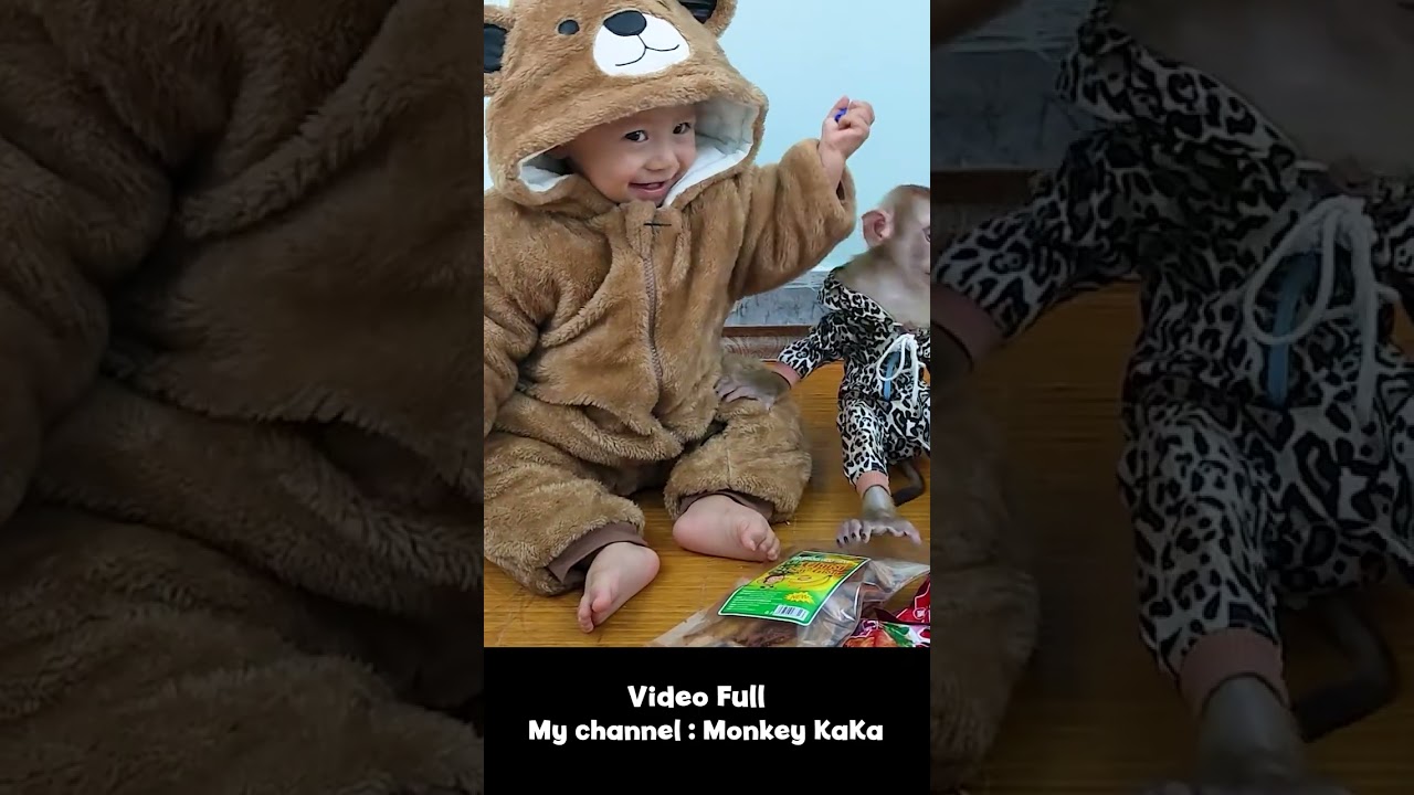 Monkey Hair Red and Baby are so cute wearing pet fur coats 2 #short ...