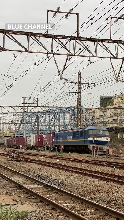 (貨物列車) 2024/04/18 1084レ EF210-316 + コキ20B (大阪タ〜仙台タ) #Shorts - YouTube