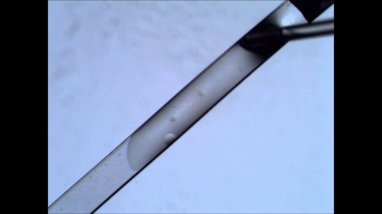 VITRIFICACION EN CRYOTOP - YouTube