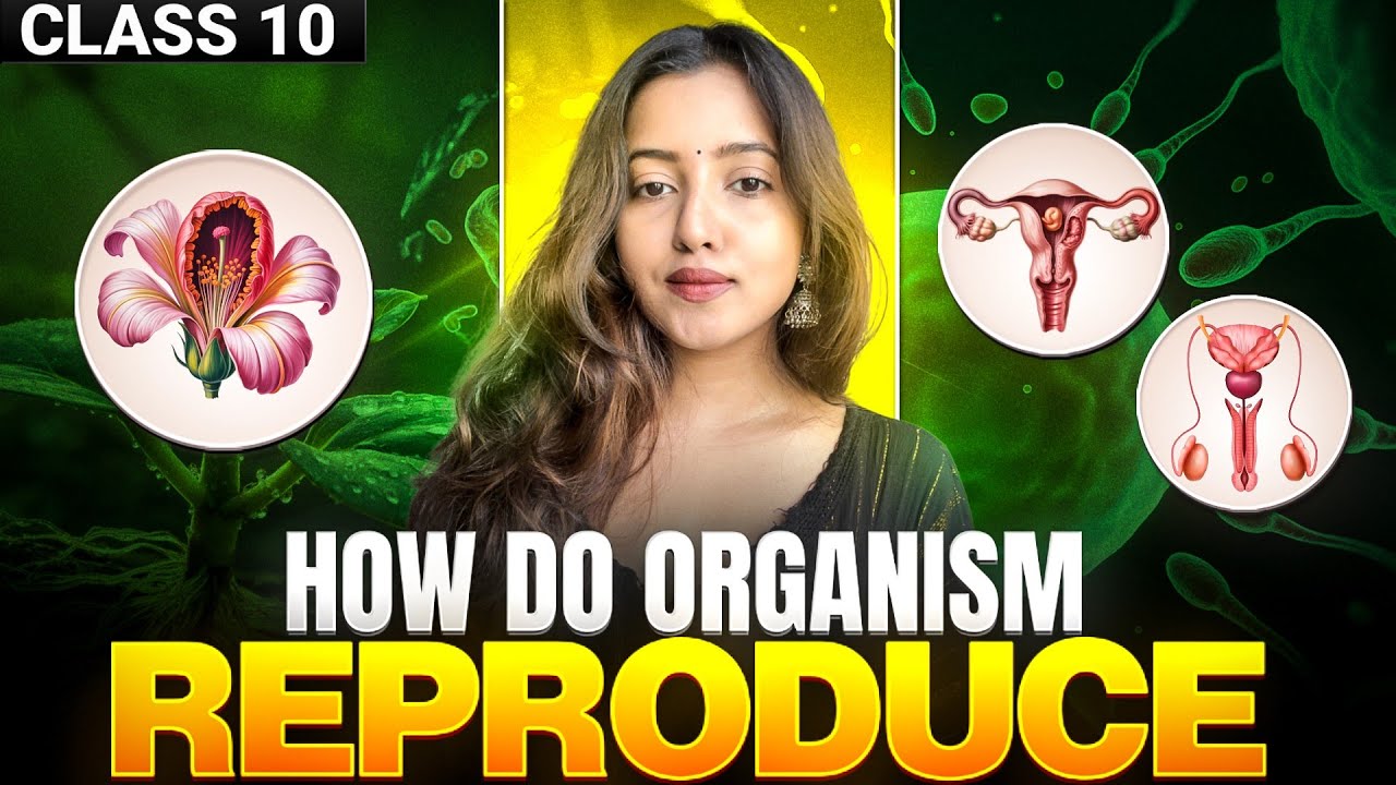 HOW DO ORGANISMS REPRODUCE - Class 10 Science | QUICK REVISION + MCQs ...