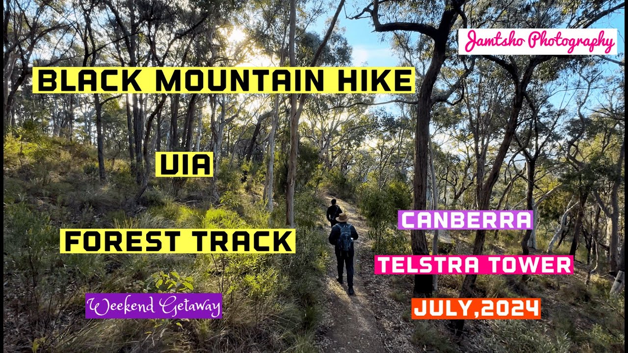 Black Mountain via Forest Track Hike,Canberra ,July,2024. 4K - YouTube