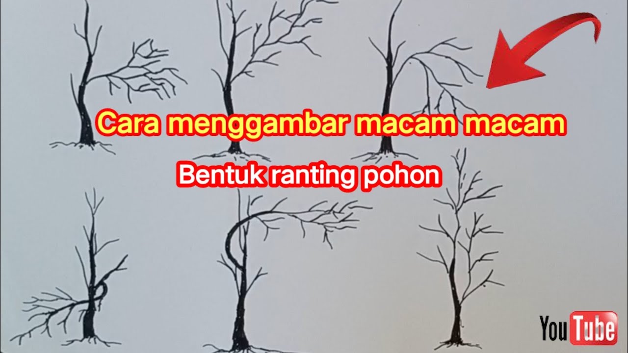 Cara menggambar macam macam bentuk ranting pohon - YouTube