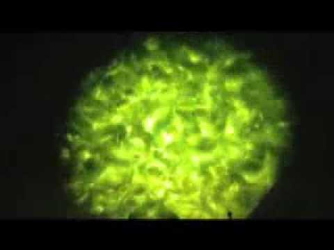 American DJ H20 LED Liquid Projector Stage Light Effect Demonstration ...