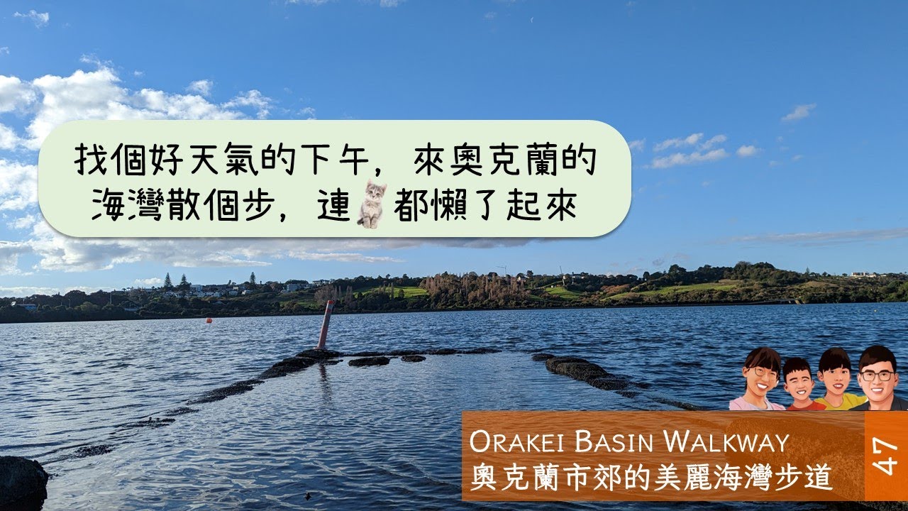 Orakei Basin Walkway | 奧克蘭市郊的美麗海灣步道 #auckland #walkway - YouTube