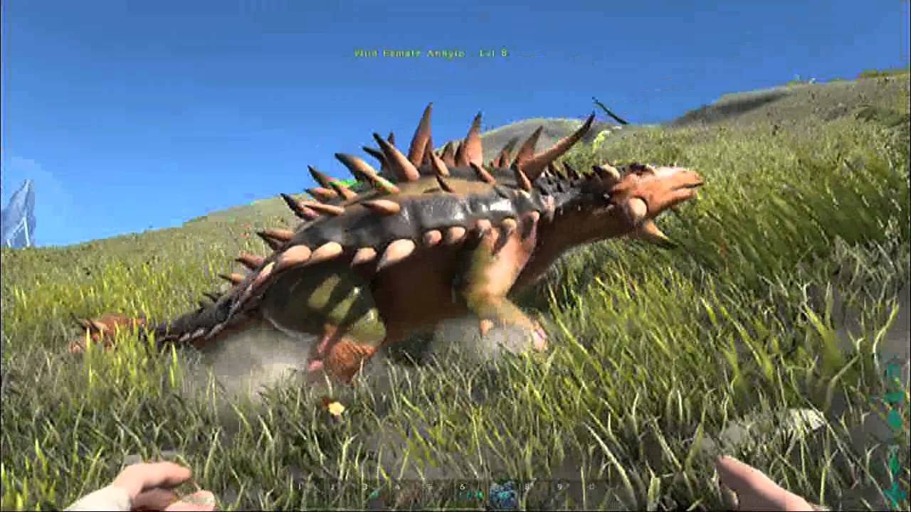 ARK: Survival Evolved - Episodio 3 // Tameando un Parasaurio - YouTube