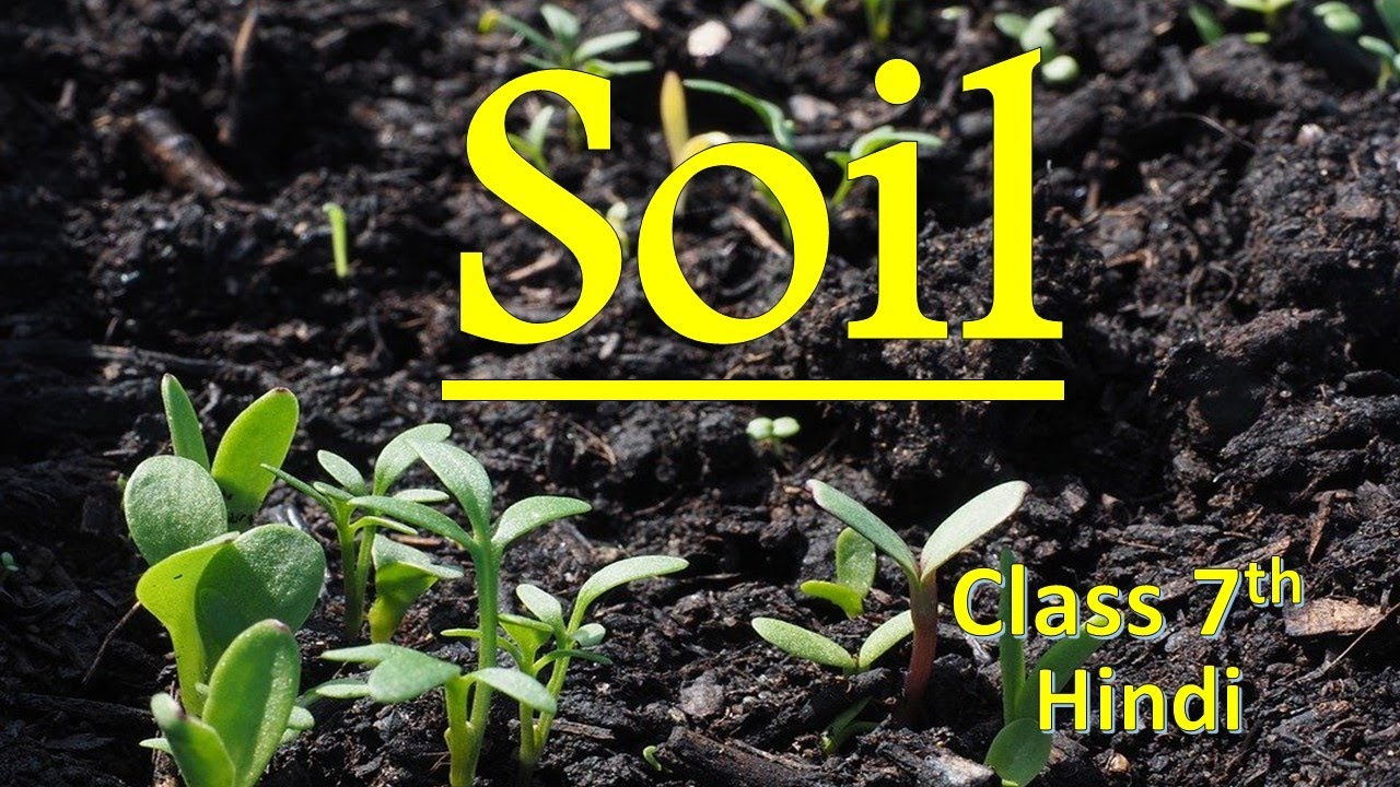 Soil Class 7 Hindi [ 𝐀𝐋𝐋 𝐀𝐁𝐎𝐔𝐓 𝐒𝐎𝐈𝐋 ] Soil profile class 7 | Soil ...