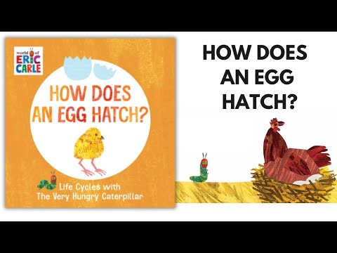 🥚🐣"HOW DOES AN EGG HATCH"?LIFE CYCLES WITH THE VERY HUNGRY CATERPILLAR ...
