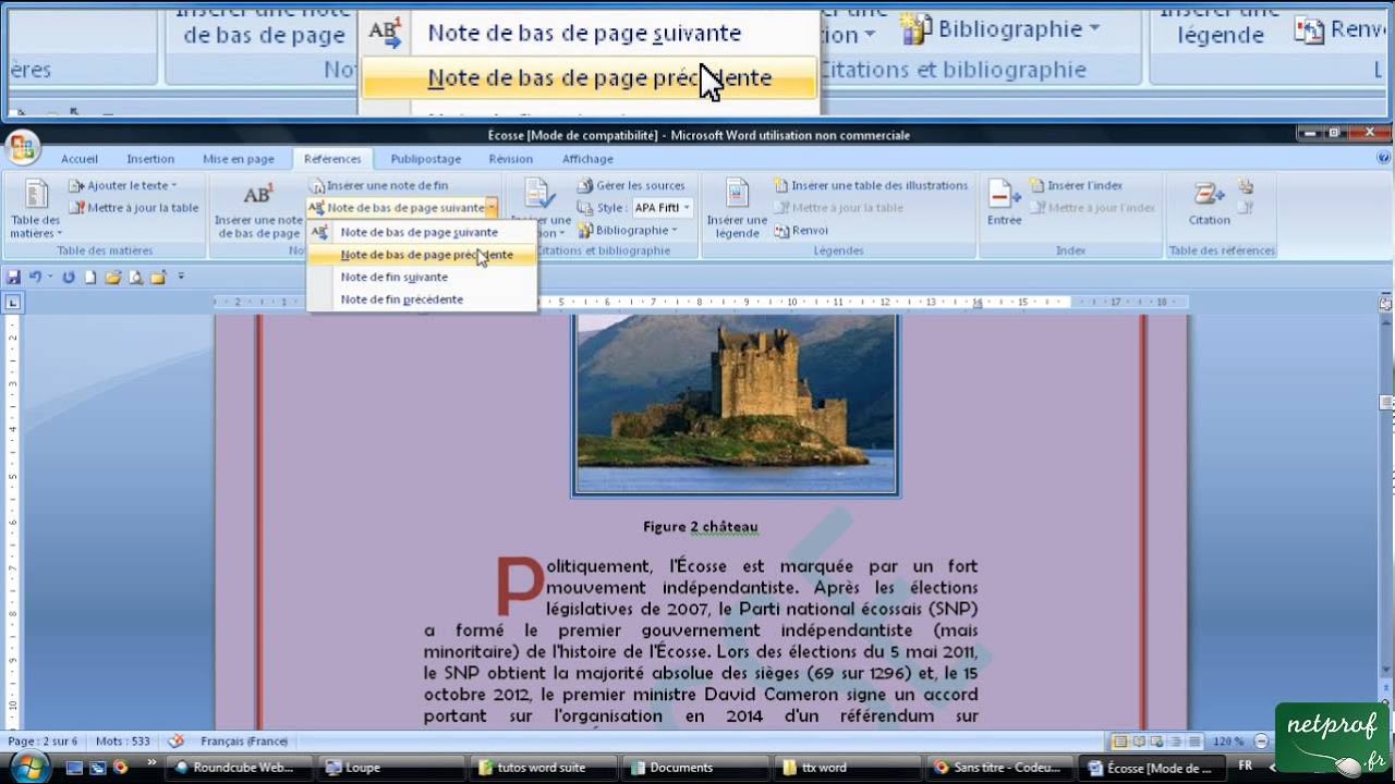 31 - Insérer note de bas de page et note de fin de document dans Word ...