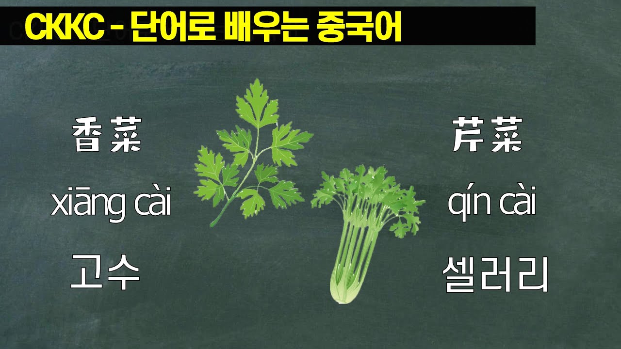 단어로 배우는 중국어 - 0195강 XiangCai QinCai 고수 셀러리 - YouTube