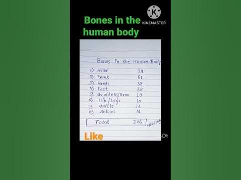 bones in the human body # short# science shorts # shorts video - YouTube