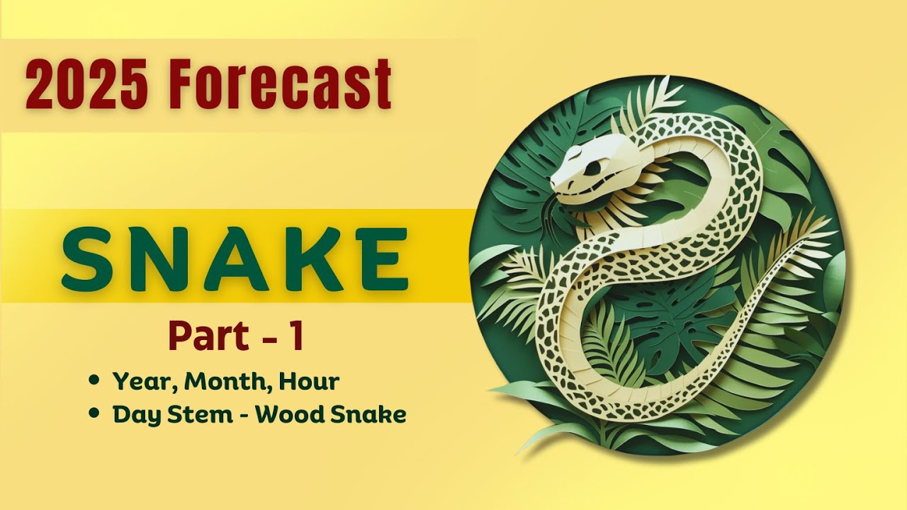 2025 Snake Zodiac Sign Part 1 || Monthwise Forecast || Wood Snake Year ...