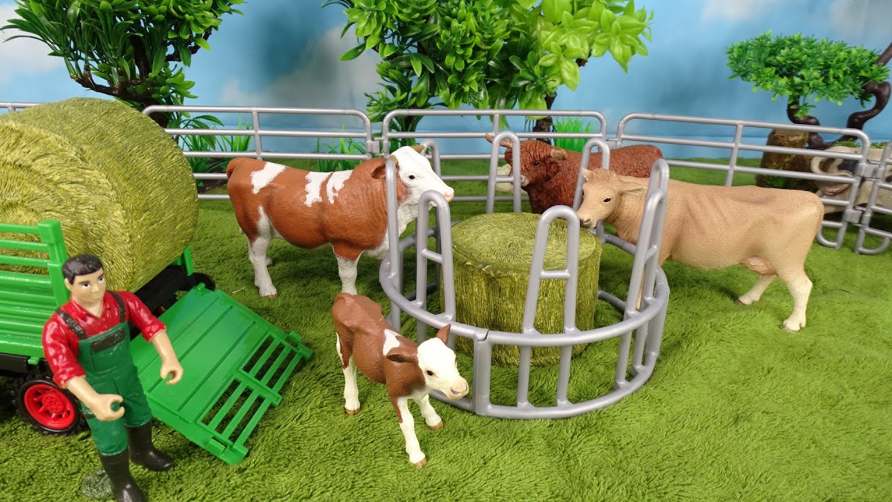 Cows in the farm/ Toros/Cows/Bulls/Vacas/Mucche - YouTube