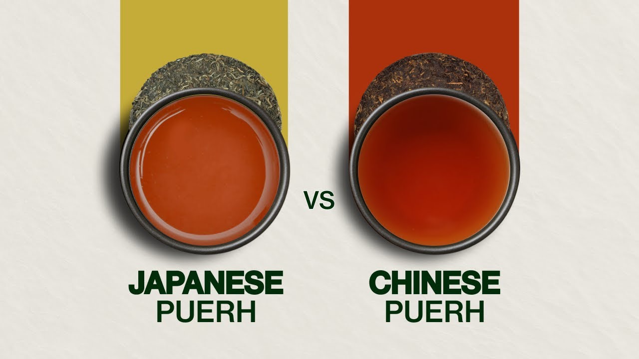 Japanese Puerh vs Ripe Puerh - Exploring the Japanese Fermented Tea Called the Rose of Tea - YouTube