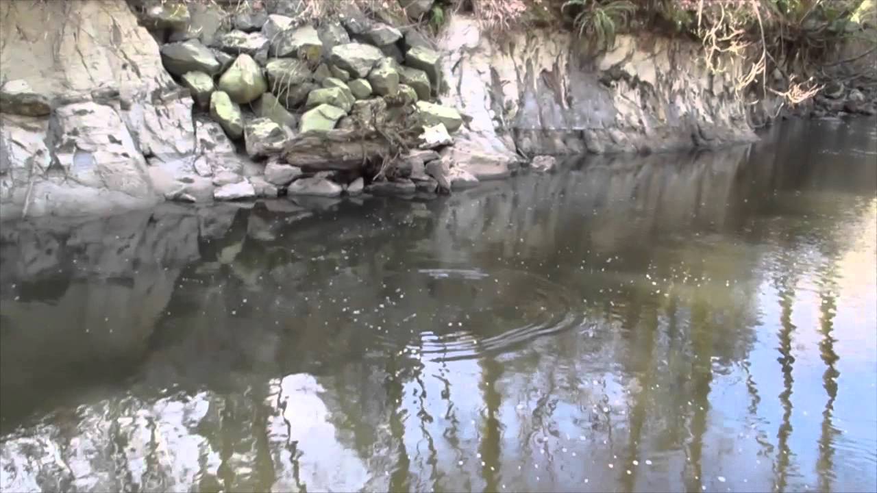 Brunette River BC Canada - YouTube