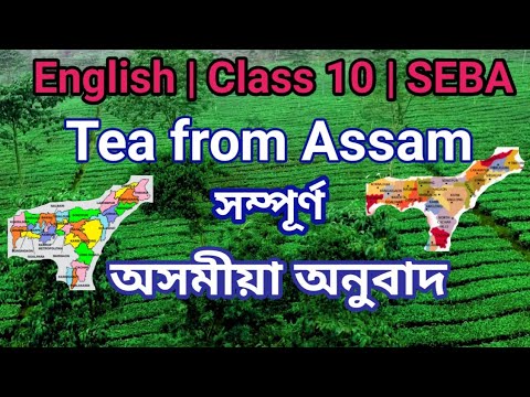 "Tea from Assam" Class 10 English lesson 7 Assamese explanation in ...
