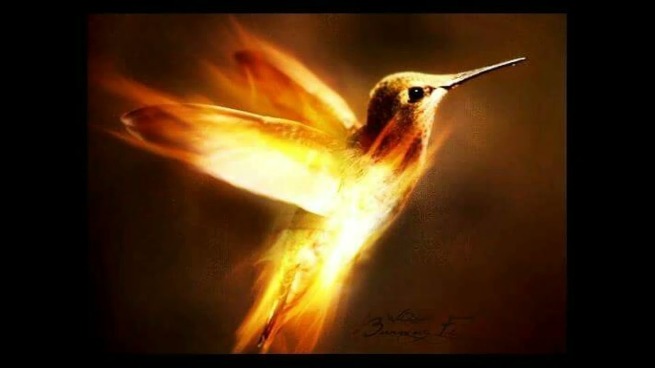 Colibri Dorado - Greek lyrics - YouTube