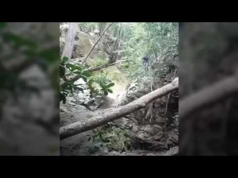 Hiking St.Croix U.S. Virgin Island's Rainforest - YouTube