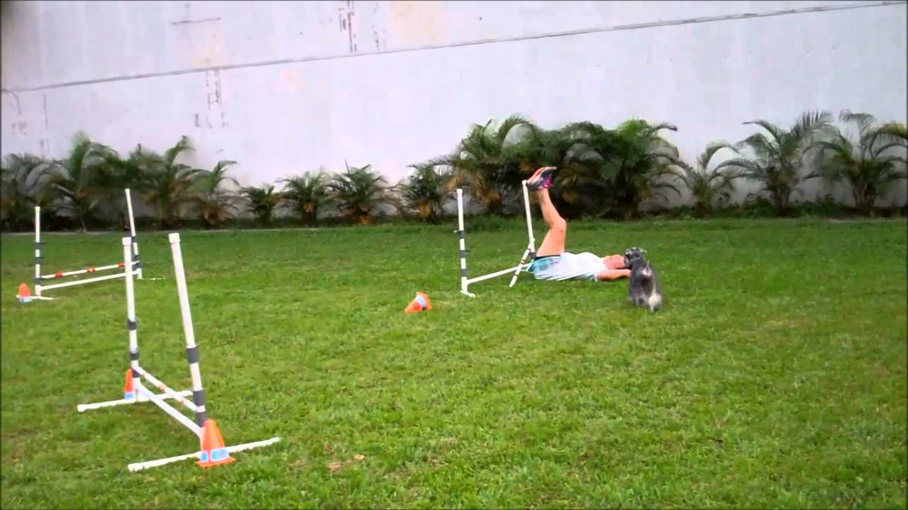 Video Of The Week (Ween Sze & Slippers) - YouTube
