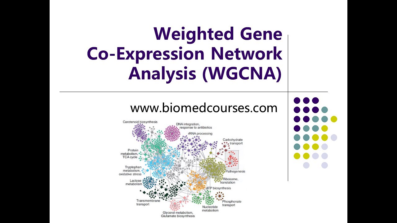 Weighted Gene Co-Expression Network Analysis (WGCNA) Course - YouTube