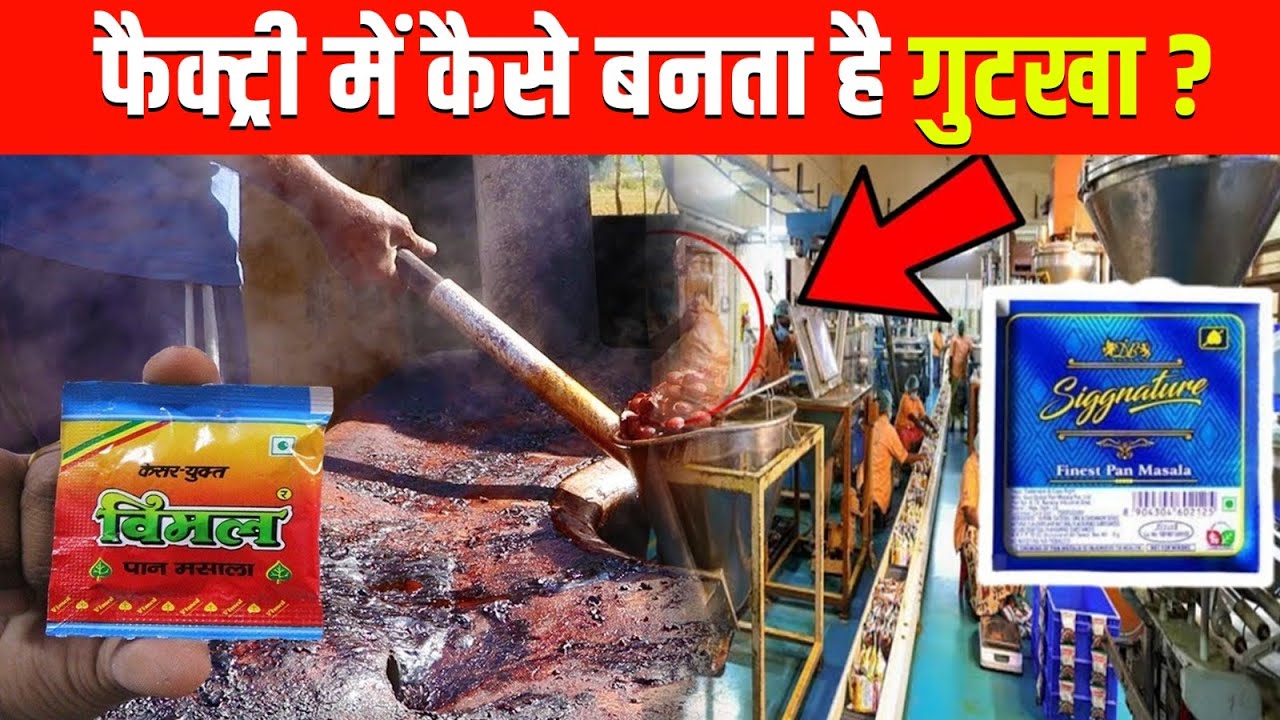 कैसे बनता है गुटखा फैक्ट्रियों में | How is Gutkha made in factory ...