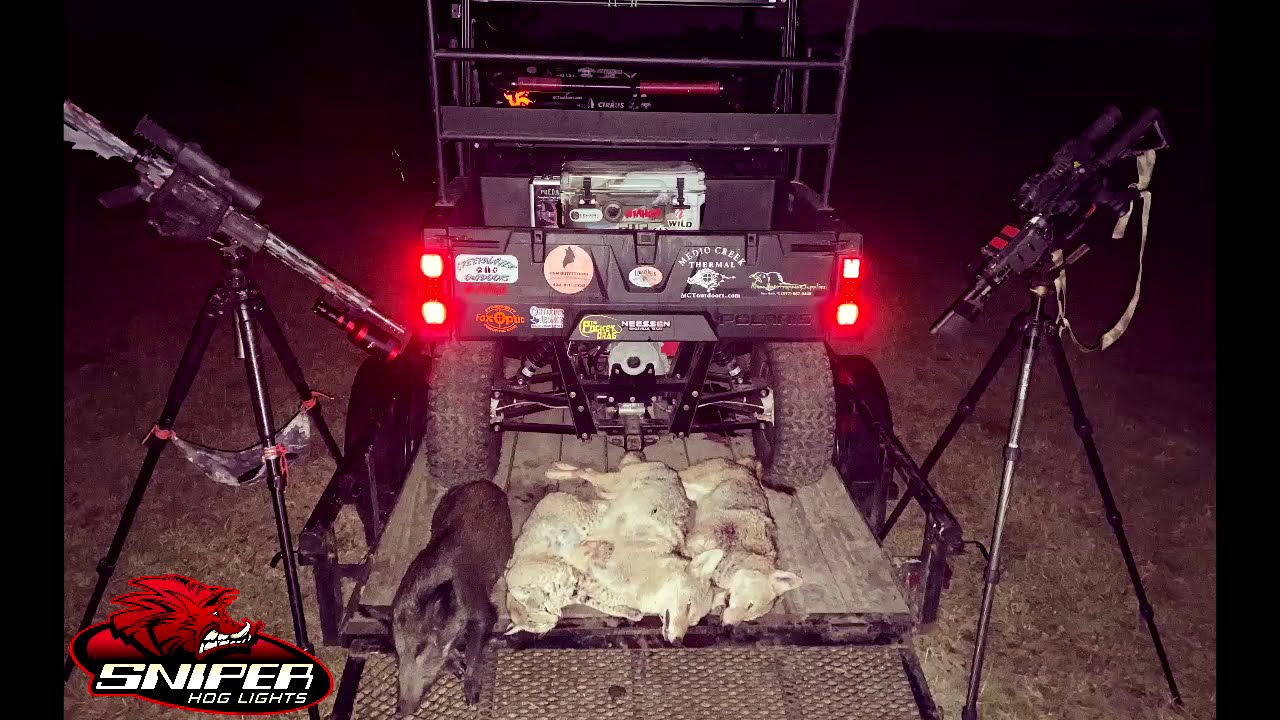 Sightmark Wraith 4K Max | Coyote Cannon 850IR | Predator/Hog Hunt - YouTube