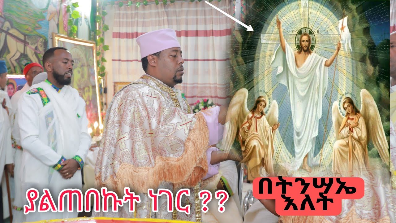 በትንሣኤ እለት የ2015 እና 2016 /Donkey Tube/ - YouTube
