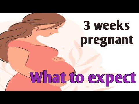3rd week pregnancy : What to expect #pregnancy - YouTube