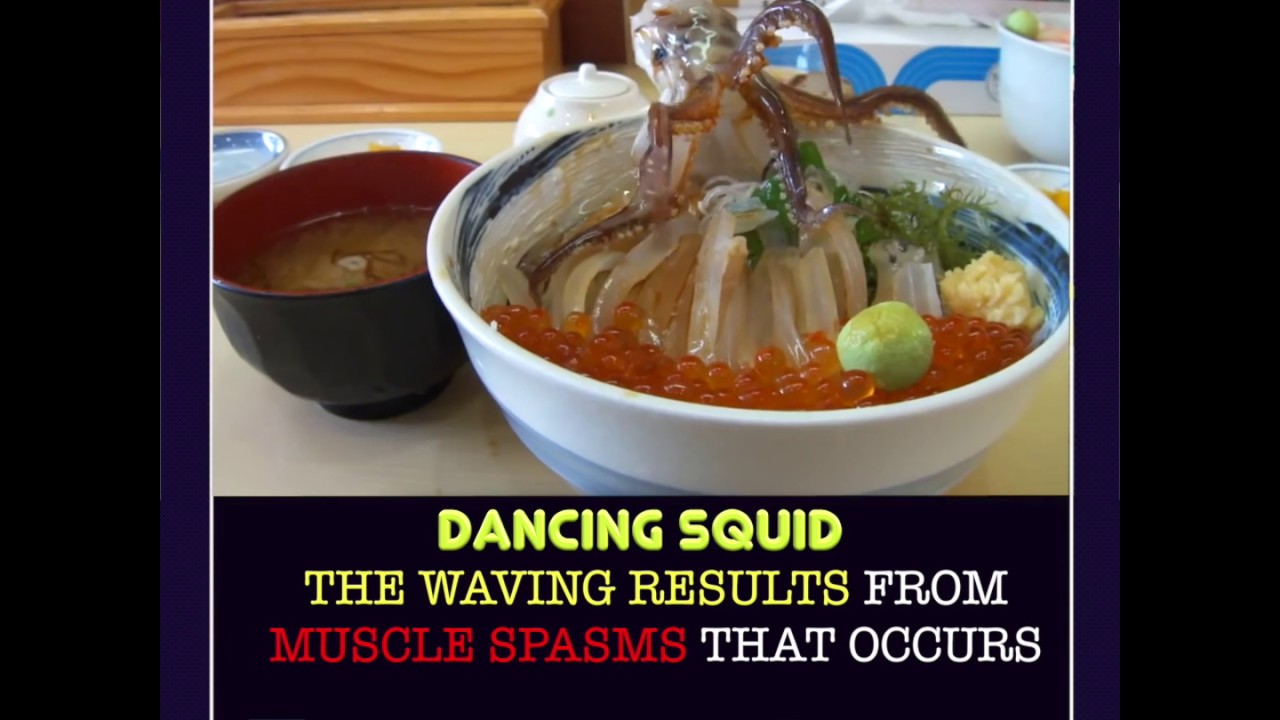 Dancing squid in Japan - YouTube