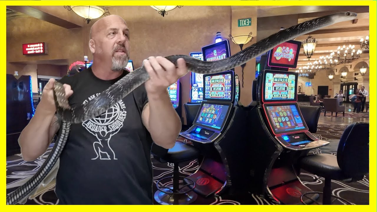 WE BROUGHT SNAKES TO A VEGAS CASINO - YouTube