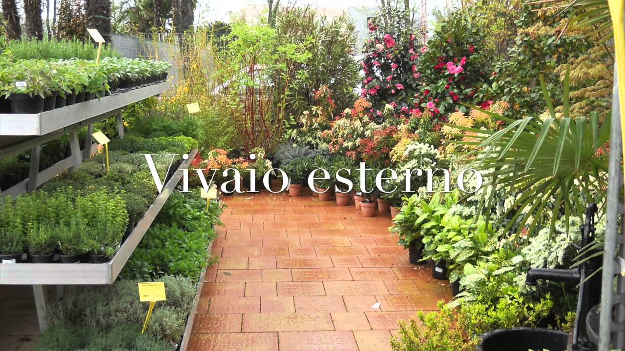 Centro Verde Merate - YouTube