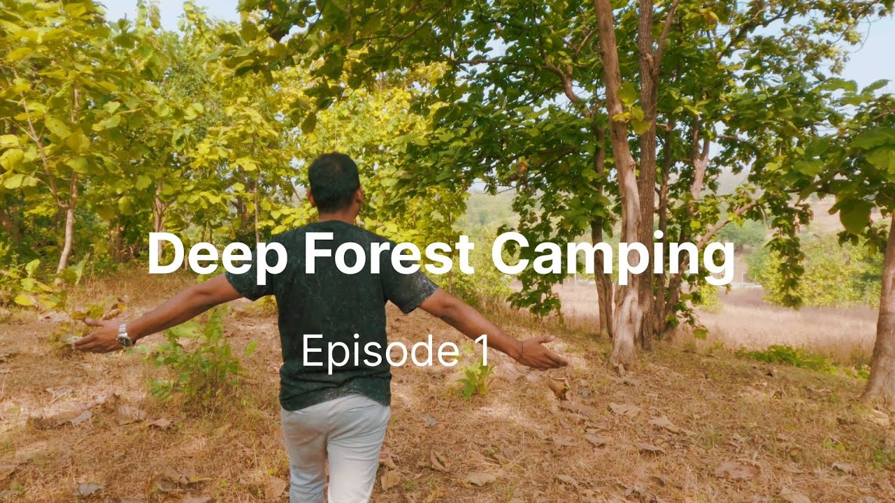 Deep Forest Camping /Nature/Camping set up gear/Car with Camping ...
