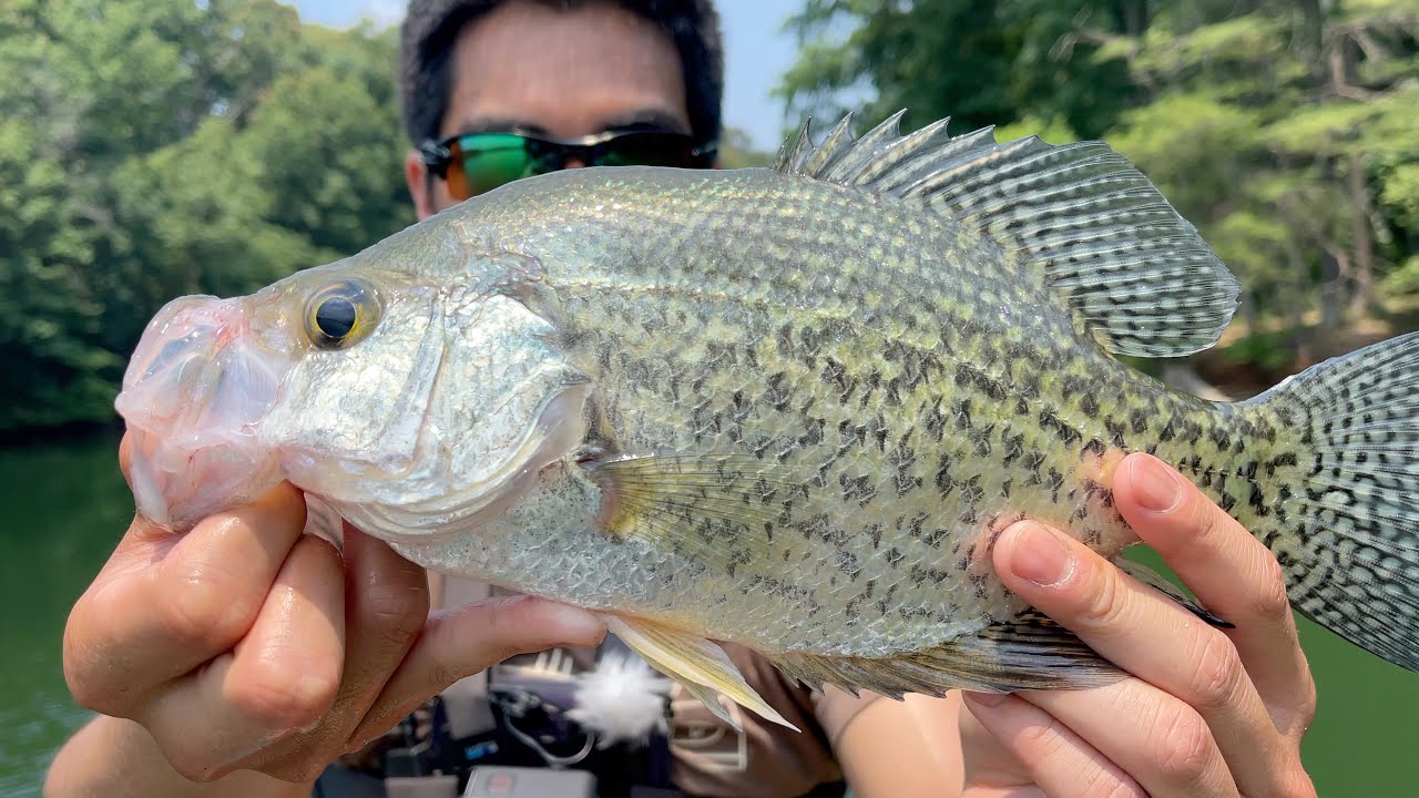 1v1 MULTI SPECIES Fishing Challenge in INTENSE HEAT!!! (SURPRISE CATCH ...