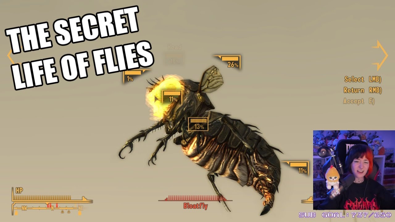 The secret life of flies - YouTube