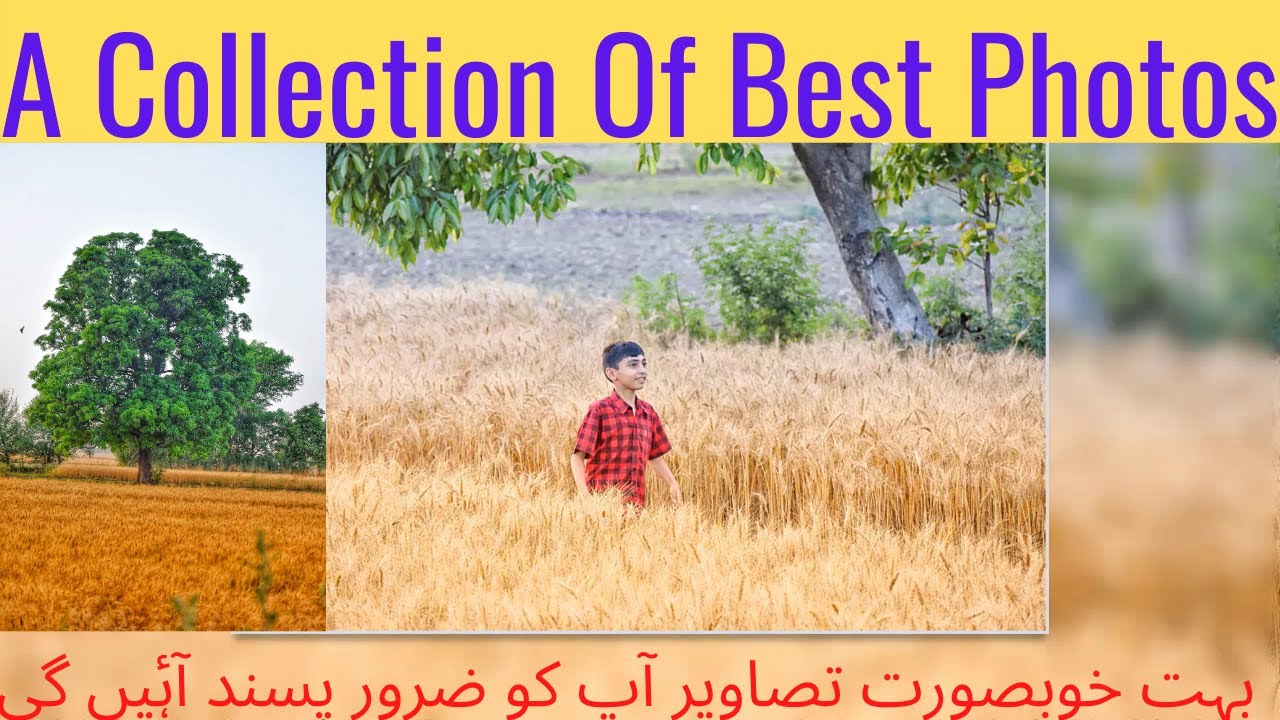 Compilation Of Photography [ My Best Photos Of 2020 ] Best Photographs ...