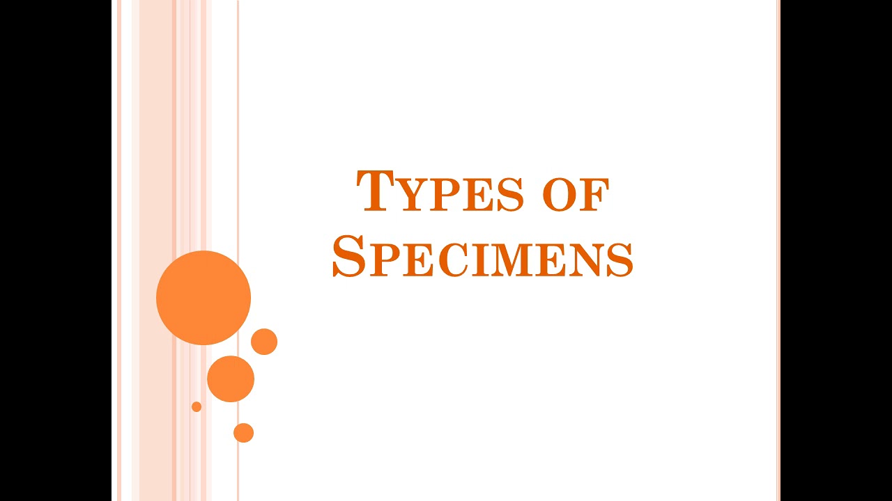 Lab 1 Types Of Specimens ( Biochemistry) - YouTube