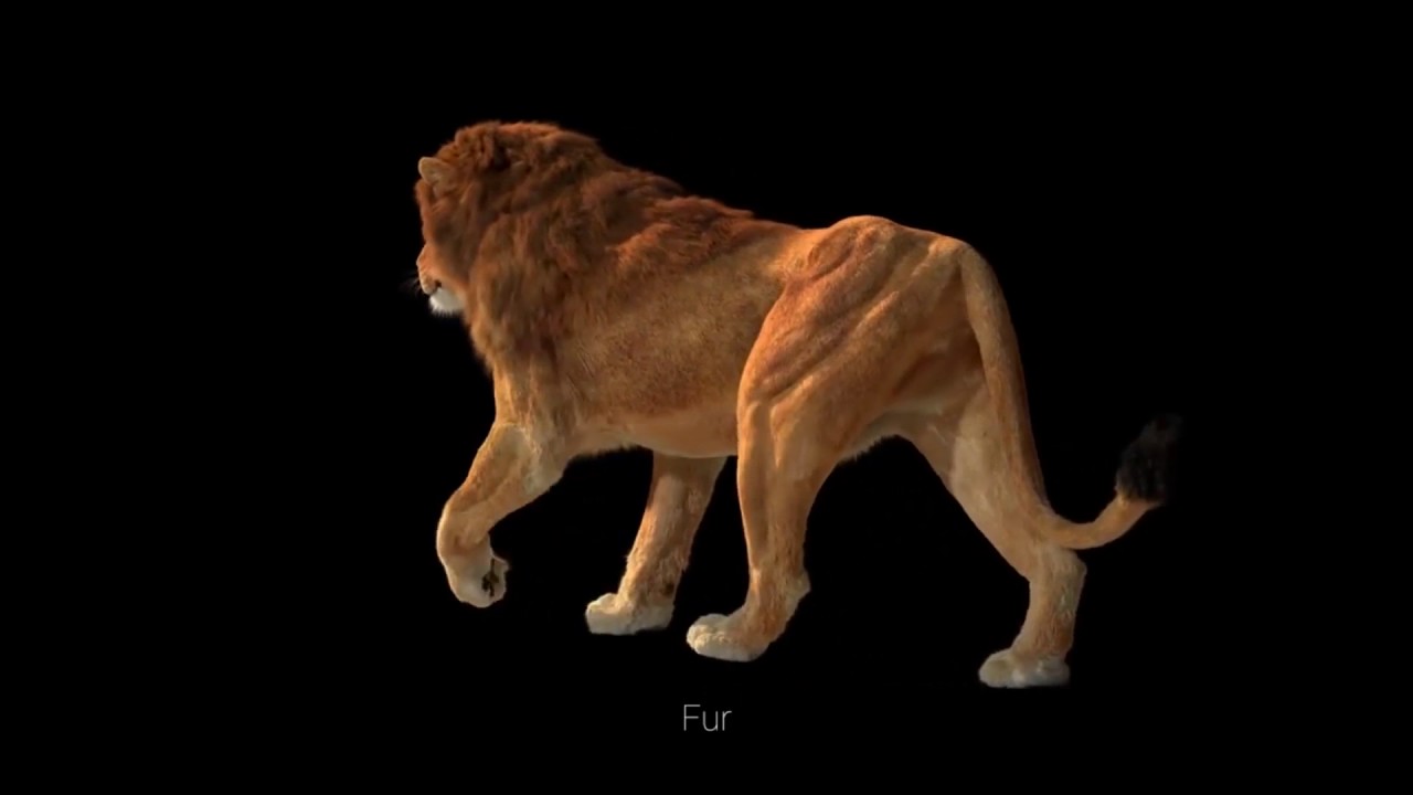 CGI & VFX Breakdown HD Wanda Reign Lion VFX Breakdown - YouTube
